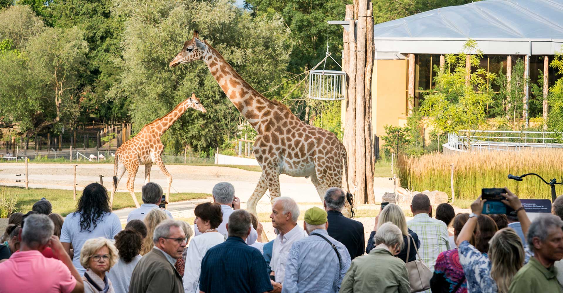 Groupe loisirs ⋆ Zoo de Mulhouse, parc zoologique et botanique