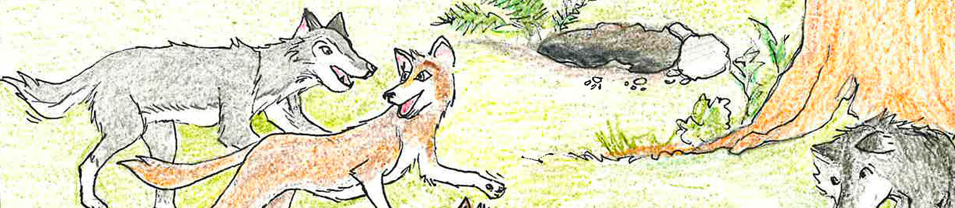 Lecture de contes illustrés ⋆ Zoo de Mulhouse, parc zoologique et botanique